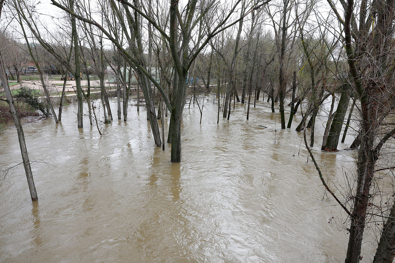 Borrasca Martinho: las imágenes del temporal: Caudal del río Manzanares ...