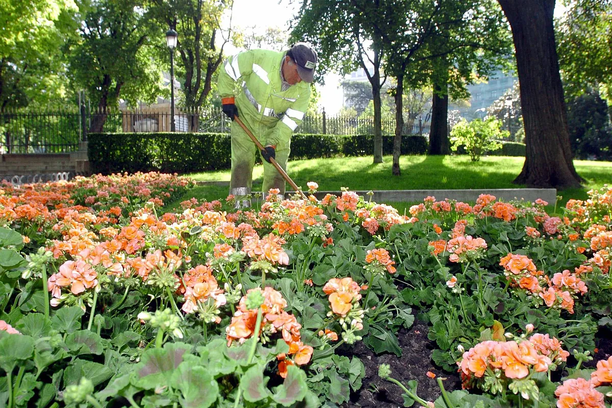 Mellifelice nude video i met Selena some time back ahead of